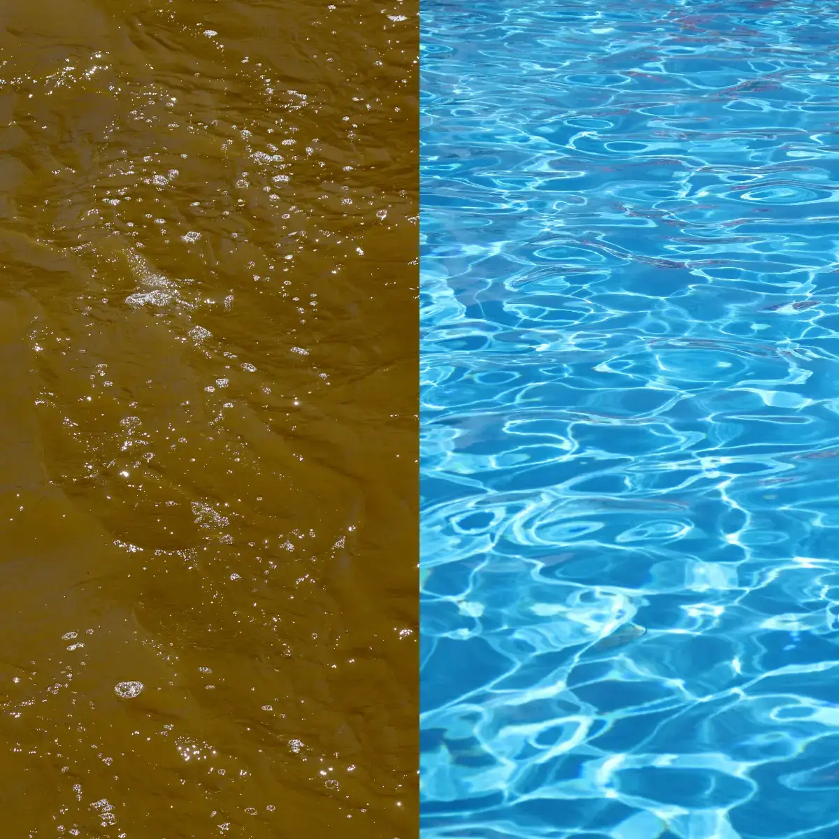 The Importance of Water Quality in Our Homes And Office